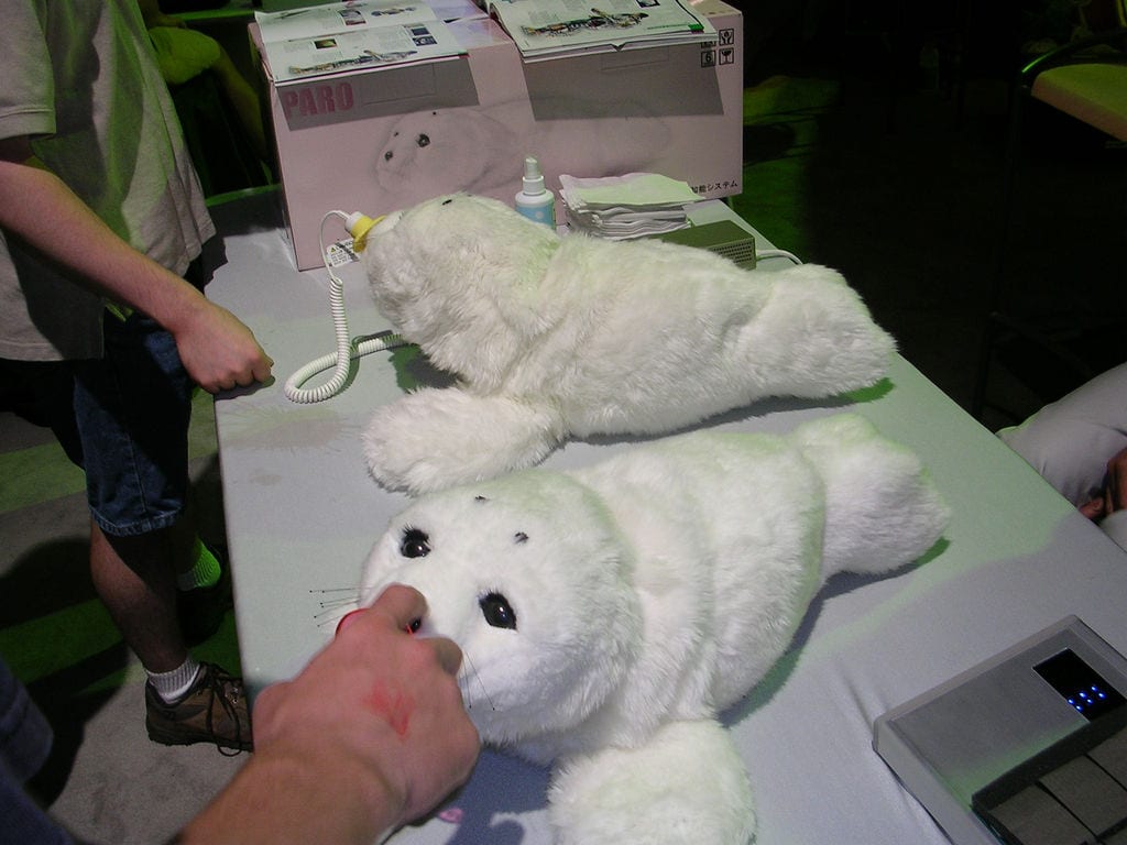 Paro, die Babyrobbe – SocietyByte