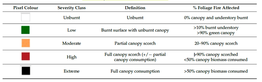 How Satellite Images help to detect the Severity of Wildfires - SocietyByte